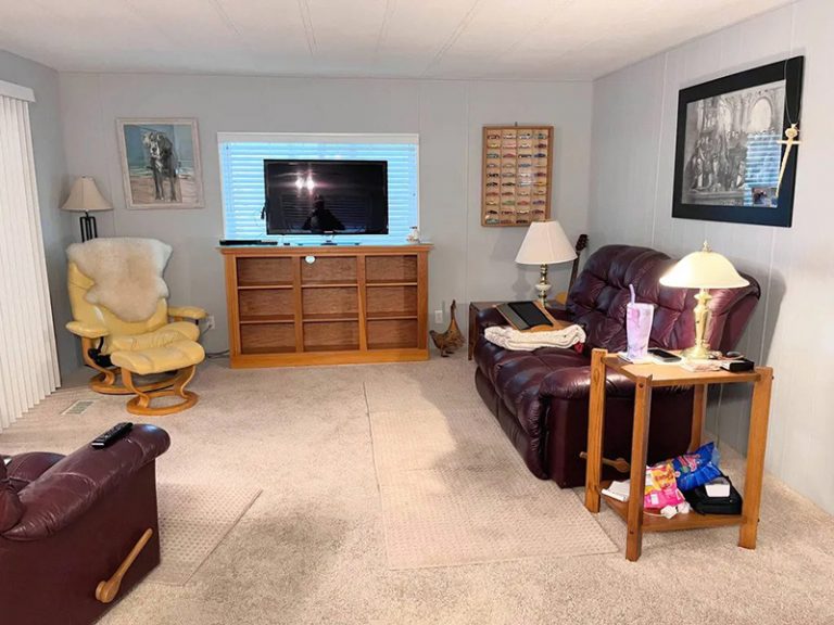 Mobile Home Living Room: 6 Tips for Creating Cozy Spaces