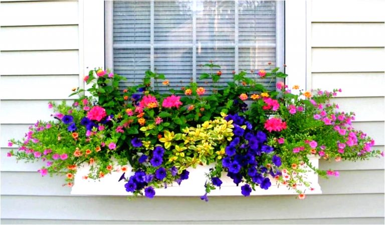 20 Mobile Home Front Yard Landscaping Ideas