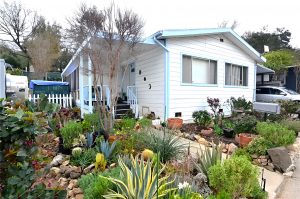 12 Mobile Home Landscaping Tips for Maximum Curb Appeal