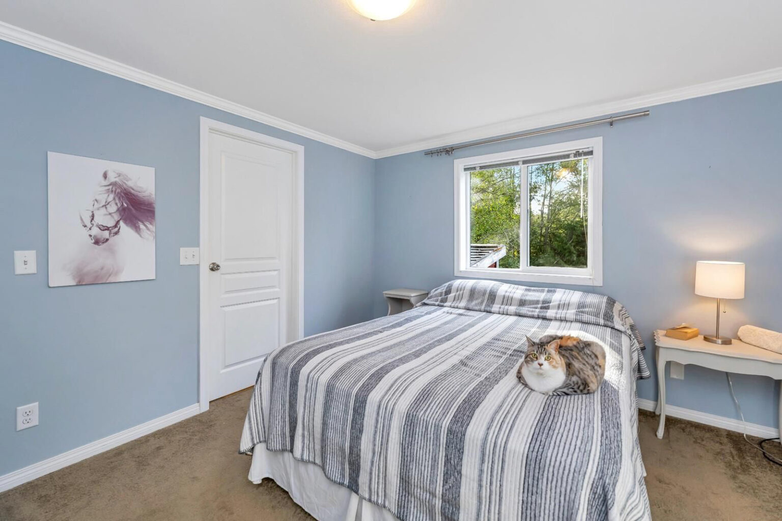 23 Single Wide Mobile Home Decorating Ideas That Make It Feel Like a ...